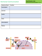 New OCR A Level Biology Adrenaline & Hormonal Communication Lesson ...