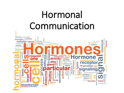 New OCR A Level Biology Adrenaline & Hormonal Communication Lesson by ...