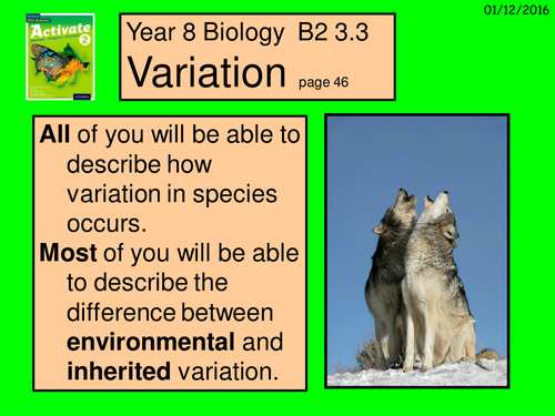 A Digital version of the Year 8 B2 3.3 "Variation" lesson. | Teaching ...