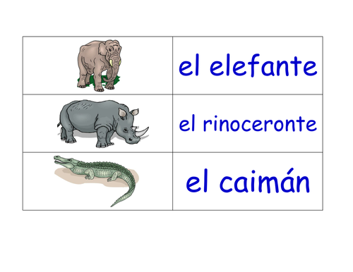 Animals in Spanish Flashcards (160+ Spanish Animals Flash cards ...