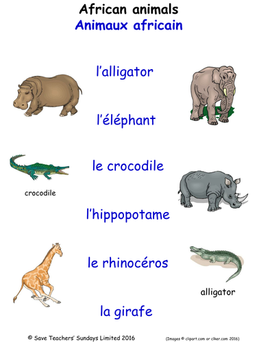 Animals in French Activities (30 pages covering 160+ French words for ...