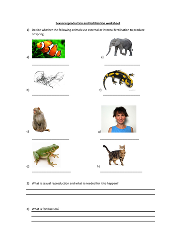 Sexual Reproduction - Internal and External Fertilisation. | Teaching ...