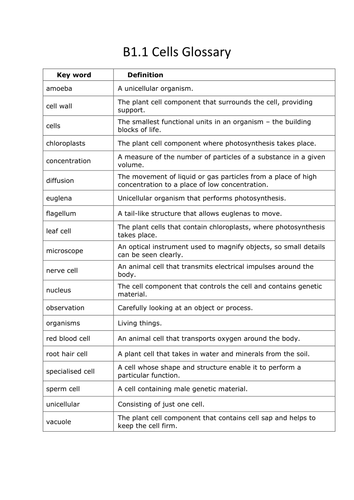Activate Year 7 Biology - B1.1 - Cells - Keyword Collection | Teaching ...