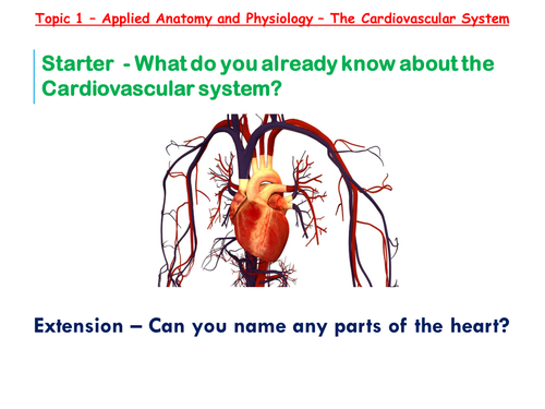 GCSE PE New Edexcel specificaton 2016 Cardiovascular system | Teaching ...