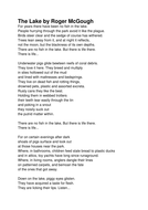 Quick Lesson POETRY - Roger McGough "The Lake" | Teaching Resources