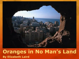 Flashbacks (4 Weeks) unit based on Oranges in No Man's Land by ...