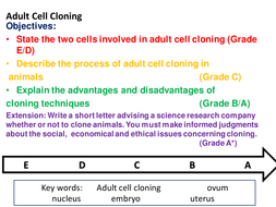 Lesson on Adult cell cloning. | Teaching Resources