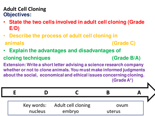 Lesson on Adult cell cloning. | Teaching Resources