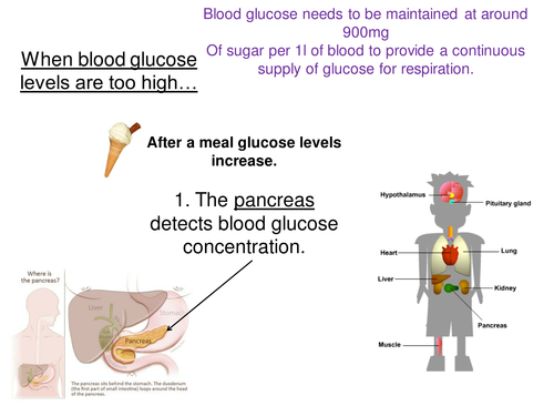Controlling blood glucose levels and diabetes. AQA B3 | Teaching Resources