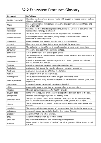 Activate Year 8 Biology - B2.2 - Ecosystem Processes - Keyword ...