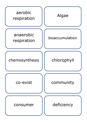 Activate Year 8 Biology - B2.2 - Ecosystem Processes - Keyword ...