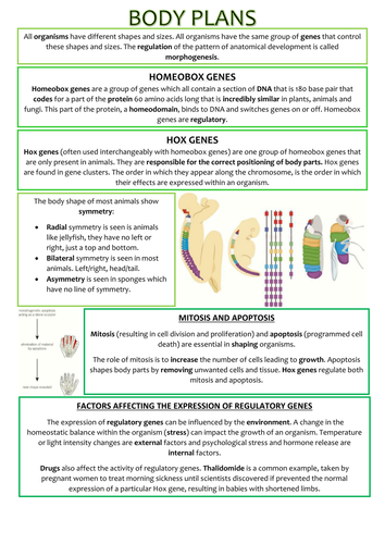 Biology A-Level OCR Revision Notes - Genetics of Living Systems ...