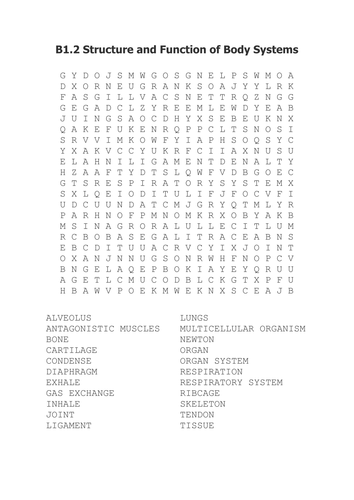 Activate Year 7 Biology - B1.2 Structure and Function of Body Systems ...