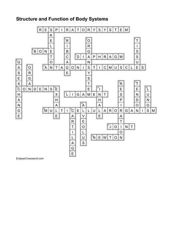 Activate Year 7 Biology - B1.2 Structure and Function of Body Systems ...