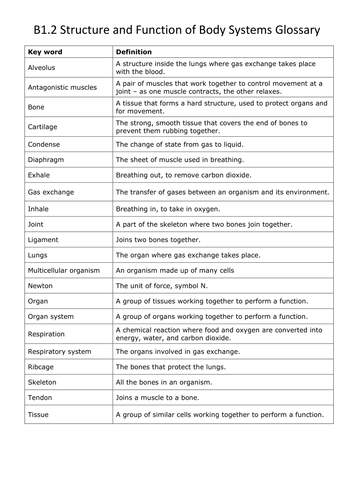 Activate Year 7 Biology - B1.2 Structure and Function of Body Systems ...