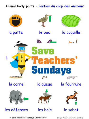 Animal Body Parts in French Worksheets, Games, Activities and Flash ...