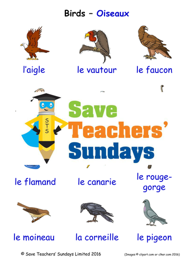 Animals in French Worksheets, Games, Activities and Flash Cards (with ...