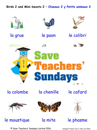 Animals in French Worksheets, Games, Activities and Flash Cards (with ...