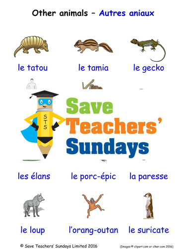Animals in French Worksheets, Games, Activities and Flash Cards (with ...