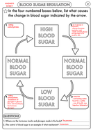 GCSE Biology: Homeostasis Worksheet Pack | Teaching Resources