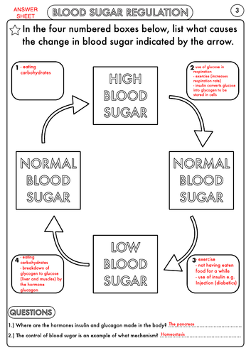 GCSE Biology: Homeostasis Worksheet Pack | Teaching Resources GCSE Biology: Homeostasis Worksheet Pack | Teaching Resources