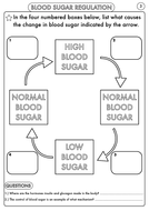 GCSE Biology: Homeostasis Worksheet Pack | Teaching Resources