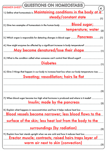 GCSE Biology: Homeostasis Worksheet Pack | Teaching Resources GCSE Biology: Homeostasis Worksheet Pack | Teaching Resources