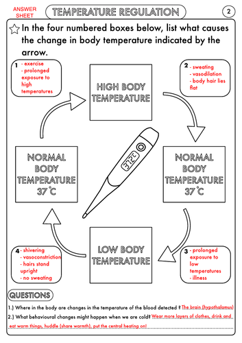 GCSE Biology: Homeostasis Worksheet Pack | Teaching Resources GCSE Biology: Homeostasis Worksheet Pack | Teaching Resources