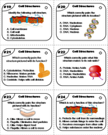 Cell Organelles Task Cards | Teaching Resources