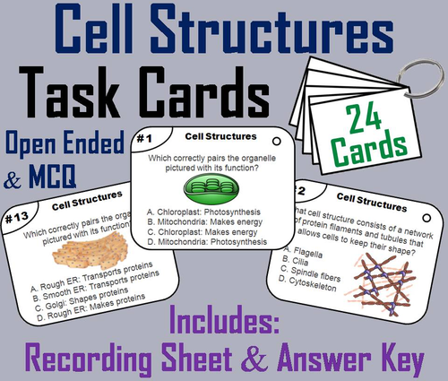 Cell Organelles Task Cards and Activities Bundle | Teaching Resources