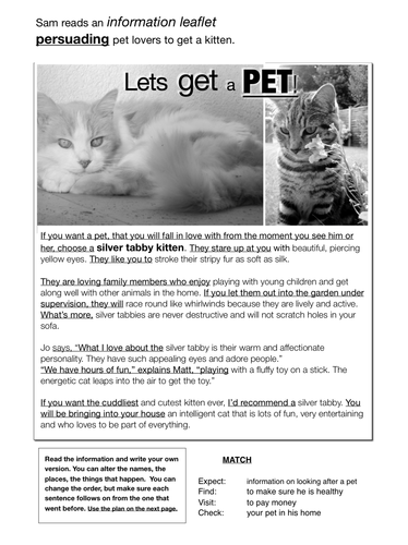 We Love Animals: Get Going With Creative Writing (US English Edition ...