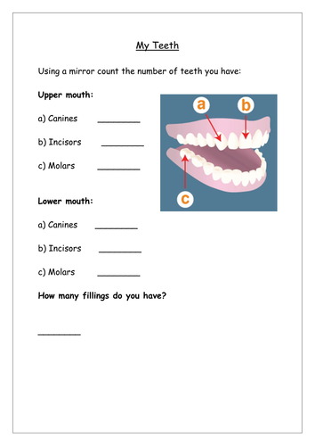 My Teeth Lesson (for SEND or young children) | Teaching Resources