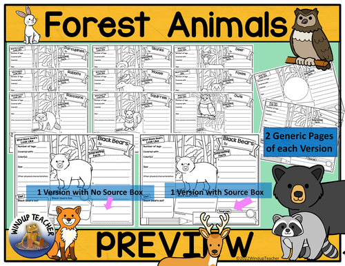 Forest Animal Research Activity Posters | Teaching Resources