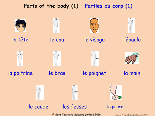Parts of the Body in French Posters (3 French posters) | Teaching Resources