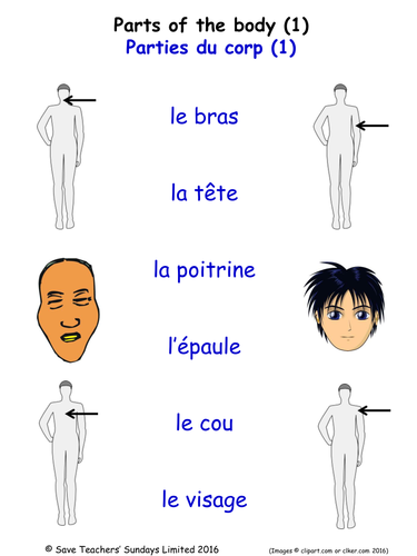 Parts of the Body in French Activities (6 pages covering 33 French ...