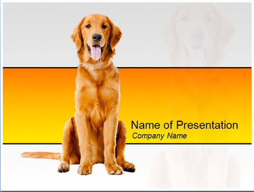 Beautiful Dog PowerPoint Template | Teaching Resources