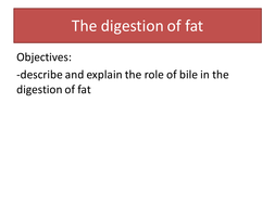 GCSE Biology Digestion of Fat - the action of bile | Teaching Resources