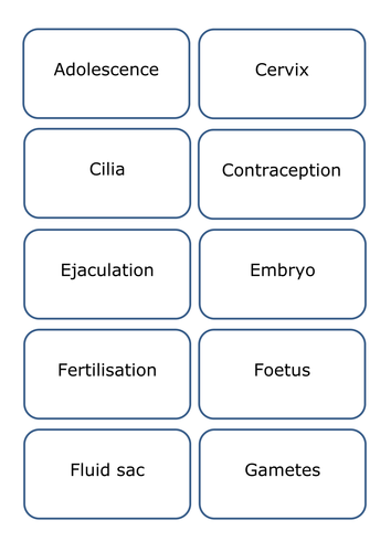 Activate Year 7 Biology - B1.3 Reproduction (Human) - Keyword ...