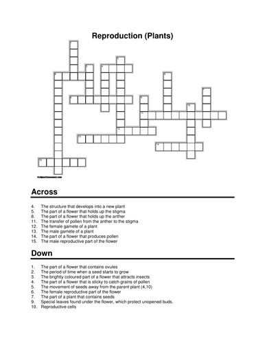 Activate Year 7 Biology - B1.3 Reproduction (Plants) - Keyword ...