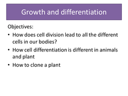New GCSE Biology AQA Growth and differentiation. | Teaching Resources