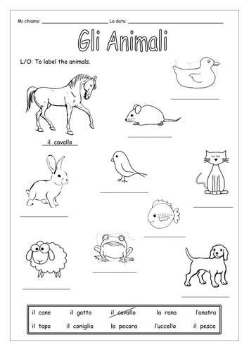 ITALIAN - Animals - Gli Animali - Activity Booklet - Worksheets ...