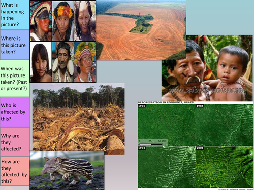 Deforestation of the Rainforest | Teaching Resources
