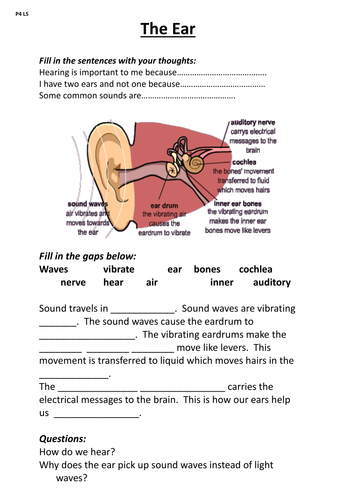 KS3 - Sound - COMPLETELY RESOURCED UNIT OF WORK | Teaching Resources