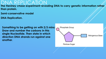 DNA replication and the Semi-conservative model | Teaching Resources