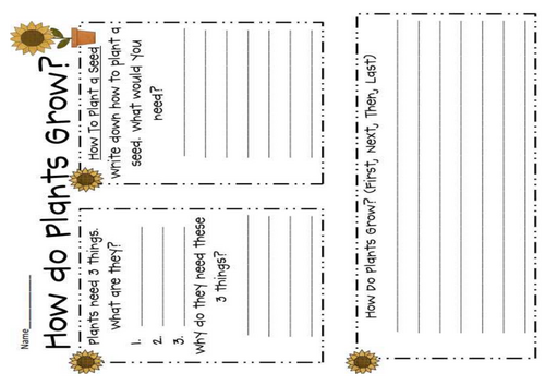 LIGHT AND DARK TEACHING RESOURCES SCIENCE KS2 SHADOW REFLECTION ...