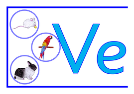 Vets role play pack- animal, veterinary clinic | Teaching Resources