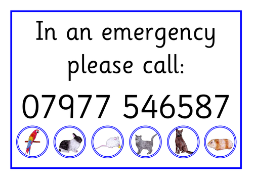 Vets role play pack- animal, veterinary clinic | Teaching Resources