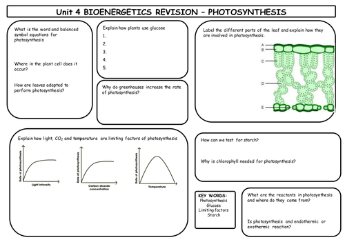 Unit 4 Bioenergetics whole module- New Biology 1-9 AQA GCSE | Teaching ...