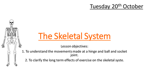 Edexcel GCSE PE - body systems - cardiovascular, muscular, respiratory ...