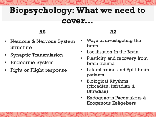 INVESTIGATING THE BRAIN - Full Lesson (ppt & activities) - AQA ...
